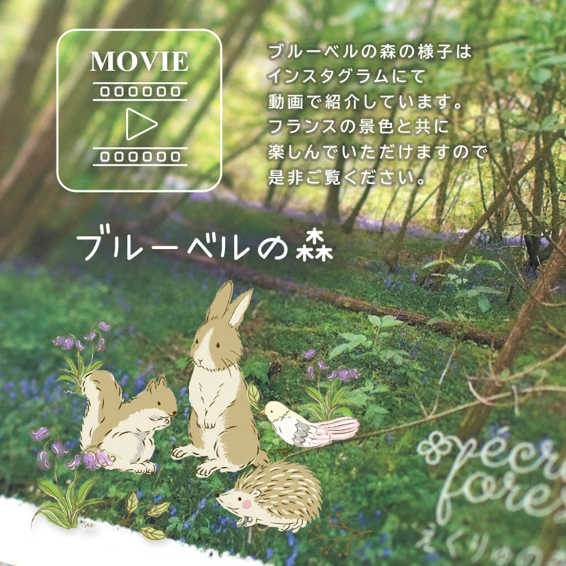 ブルーベルのカード作り：スタンプ6点セット妖精の花えくりゅの森 花祭りシリーズ年賀状・クリスマスカードポストカードにもはんこ 手帳付箋 カー – えくりゅの森 ecru forest ...